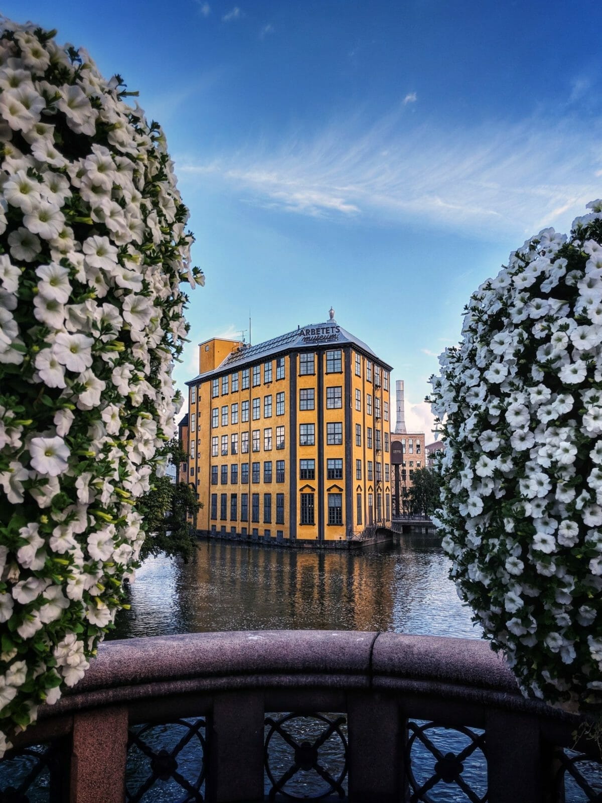 7 Photography Tips to take better photos instantly