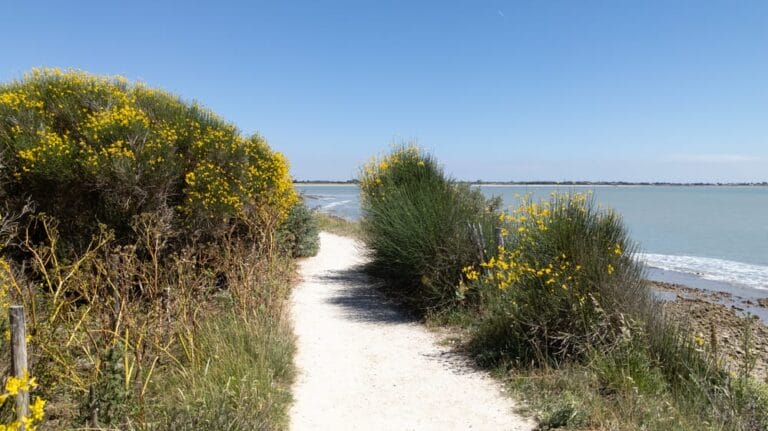 Explore the 4 best La Rochelle Beaches: Uncover Hidden Gems!
